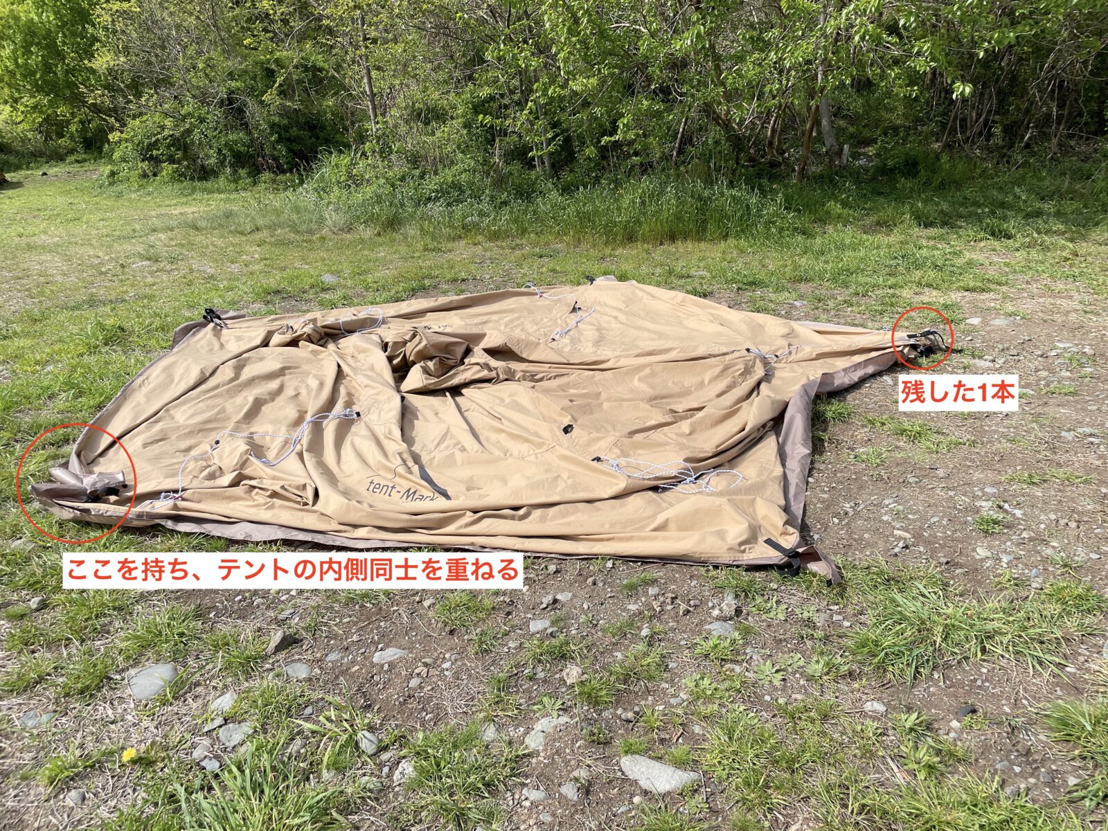 大人気！テンマクデザインの「サーカス tcdx プラス」徹底レビュー！ | ちりつもキャンプ